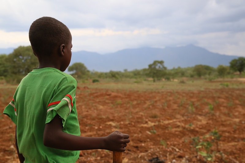 Hunger