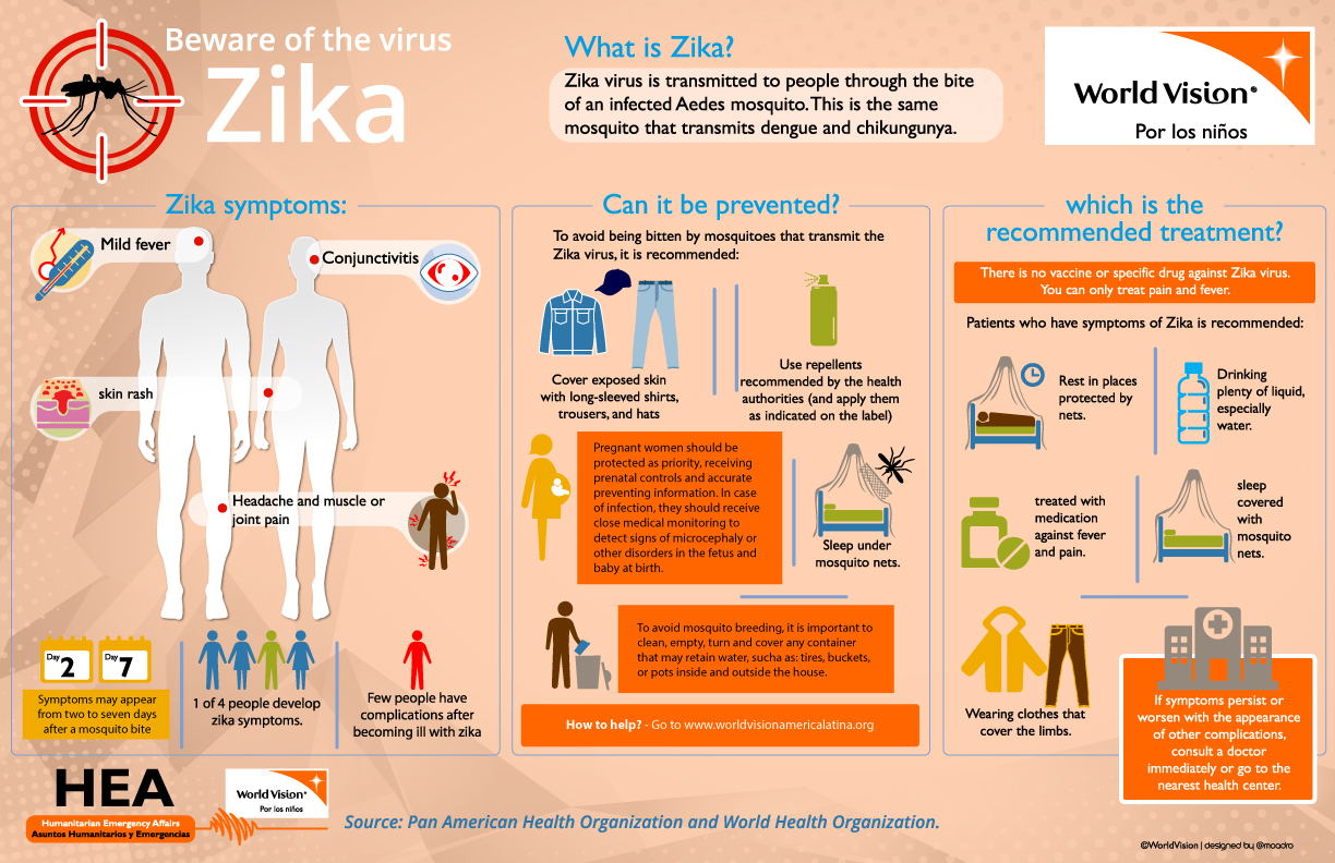 Infographic Zika