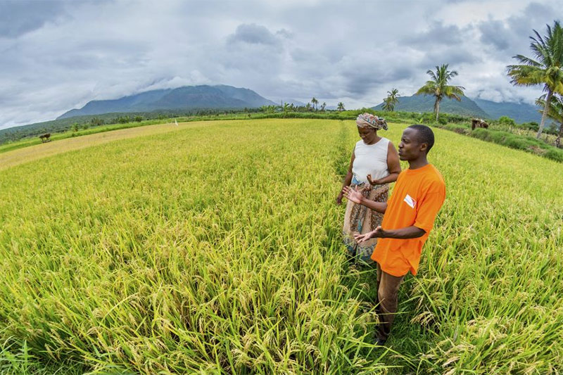 Famine & World Hunger - World Vision Australia
