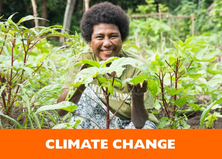 What we do | World Vision Australia