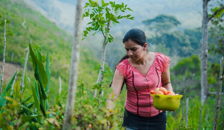 Corporate Charity + Business Partnerships - World Vision | World Vision ...