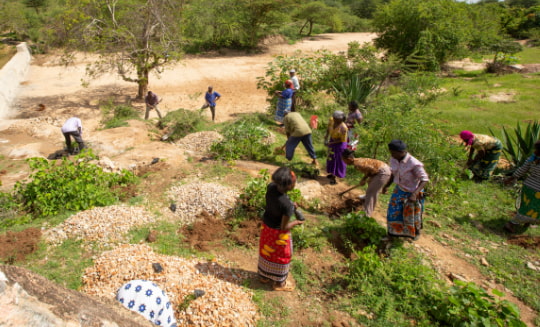 FMNR | World Vision Australia